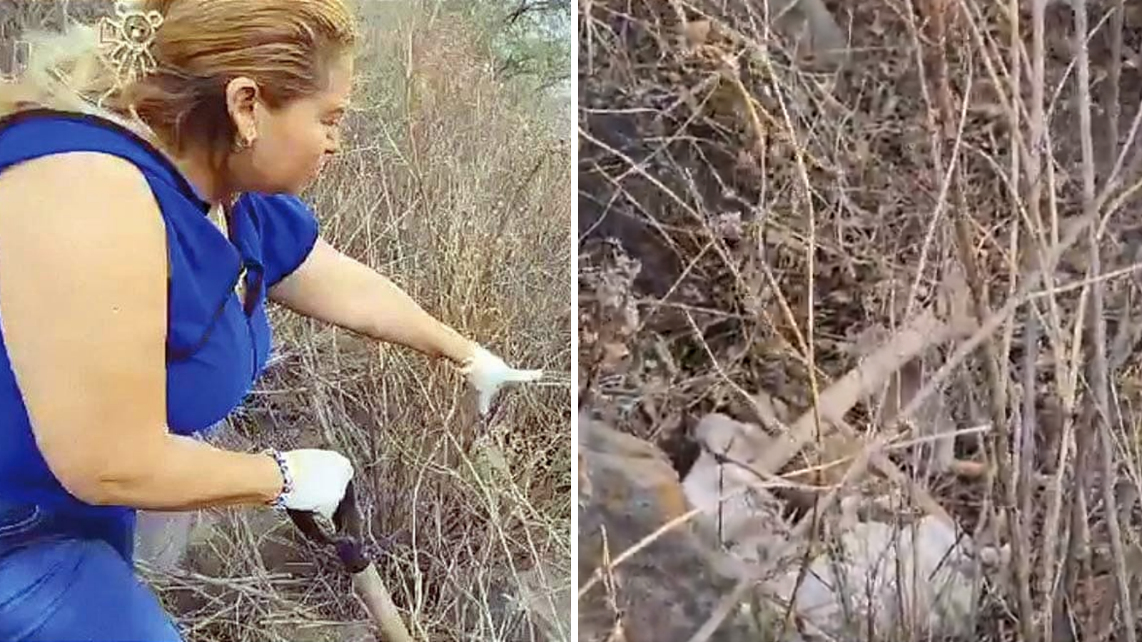 Ceci Flores, madre buscadora, halla restos humanos en Iztapalapa - Mis ...