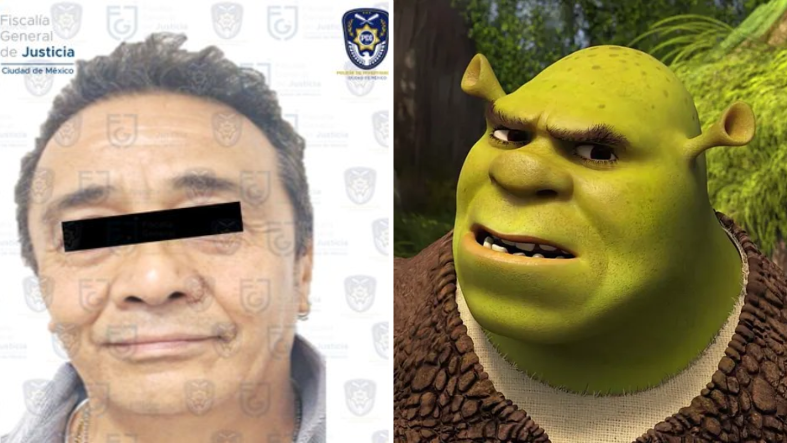 Arrestan a Alfonso Obregón, voz de Shrek, por abuso sexual - Mis ...